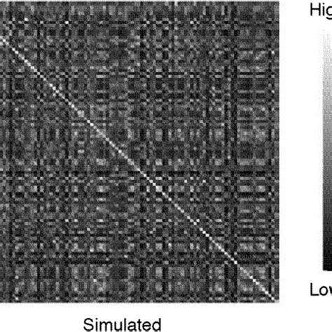 Example Of A Spectra Similarity Matrix Rows Correspond To Experimental Download Scientific