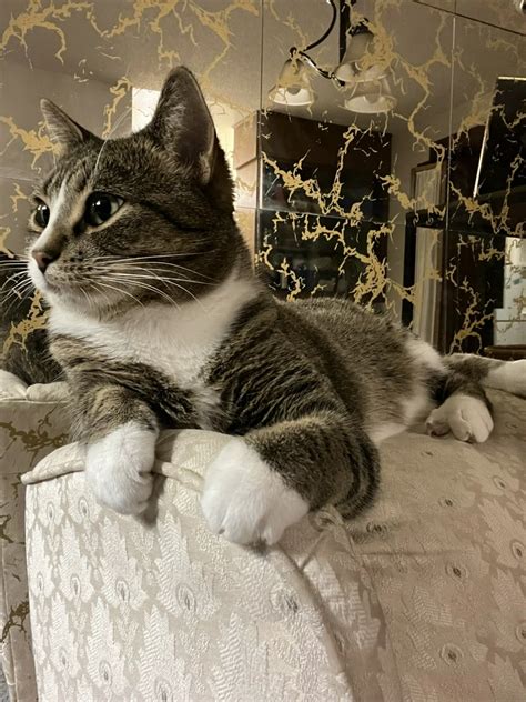 Measurable Success Album On Imgur