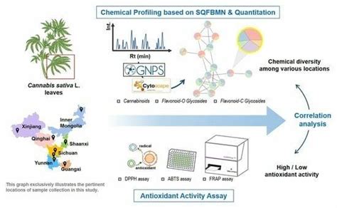 Ronald Tully On Linkedin Feature Based Molecular Network Assisted Cannabinoid And Flavonoid…
