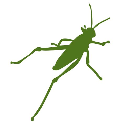 Rhinoinside®revit