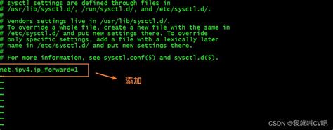 Linux网络服务Centos 安装部署DHCP 阿里云开发者社区