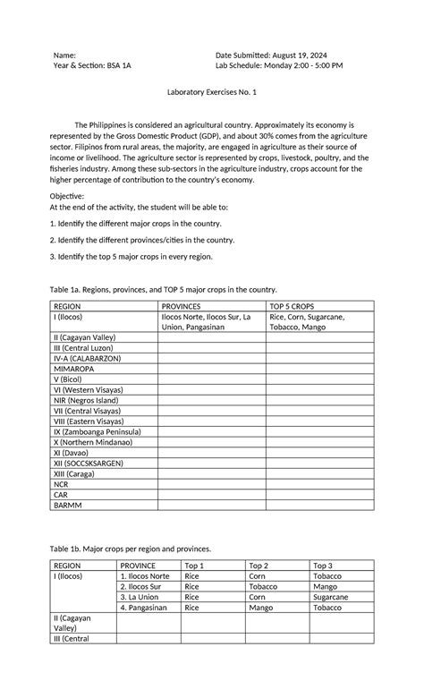 CPSC Lab Activity Template Name Date Submitted August Year Section BSA A Lab