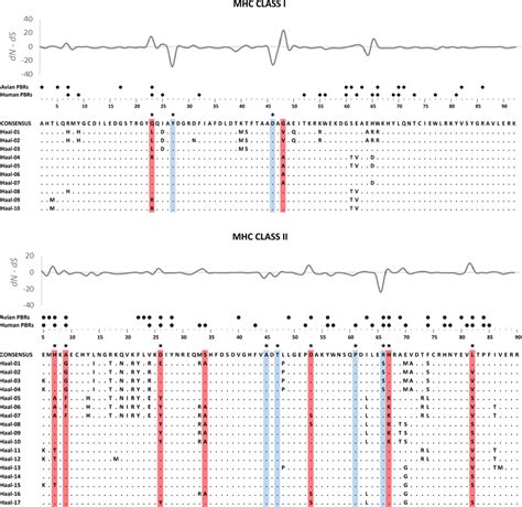 Alignments Of Amino Acid Sequences Of Mhc Class I Exon 3 And Mhc Class