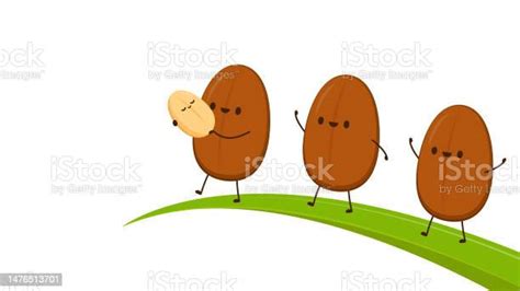 웃는 행복한 커피 콩 벡터 평면 만화 캐릭터 그림 아이콘 디자인 흰색 배경에 격리 커피 콩 캐릭터 개념입니다 갈색에 대한 스톡 벡터 아트 및 기타 이미지 Istock