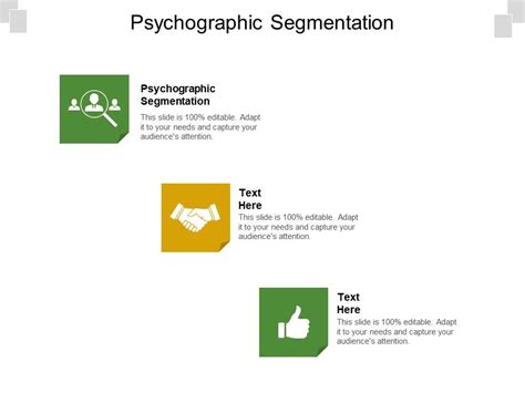 Psychographic Segmentation Ppt Powerpoint Presentation Professional