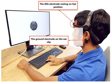 The Experiment Setup A Participant Wearing The EEG Device Engaged In Download Scientific