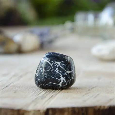 Palm Root Fossilized Dreaming Goddess