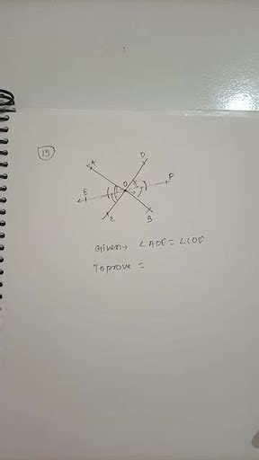 15 if two straight lines intersect each other then prove that the ray op