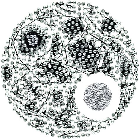 Degree And Strength Based Directed Weighted Complex Network Model Of Download Scientific