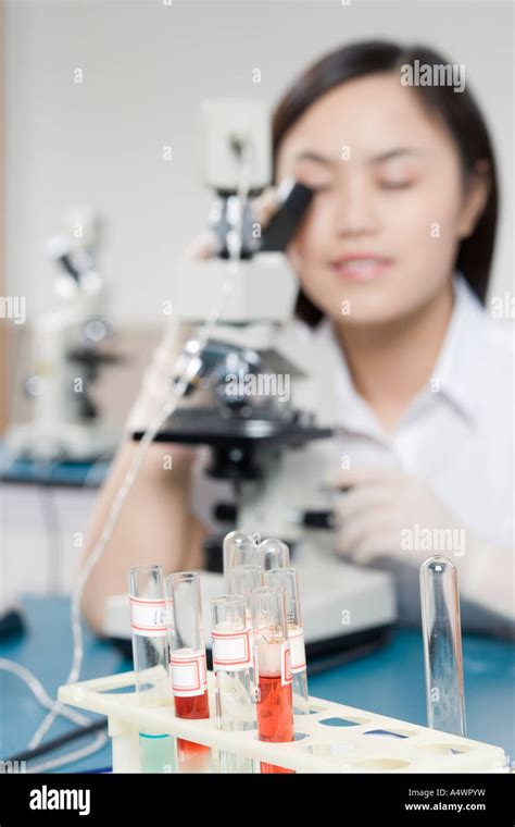 Female Babe Using A Microscope Stock Photo Alamy