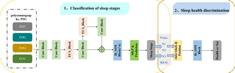 ecgmamba towards efficient ecg classification with bissm ai research