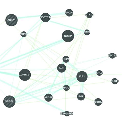 Constructed Interaction Networks Including All The Genes Related To