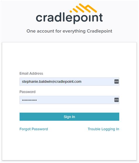 netcloud manager overview