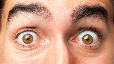 What Are Sanpaku Eyes And How To Spot A Liar Psychopath Or Narcissist