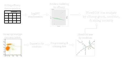 Github Maiabennettnk Flowsom Analysis Graph Based Analysis Of Natural Killer Nk Cell