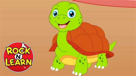 Tiny Tim Turtle Clipart