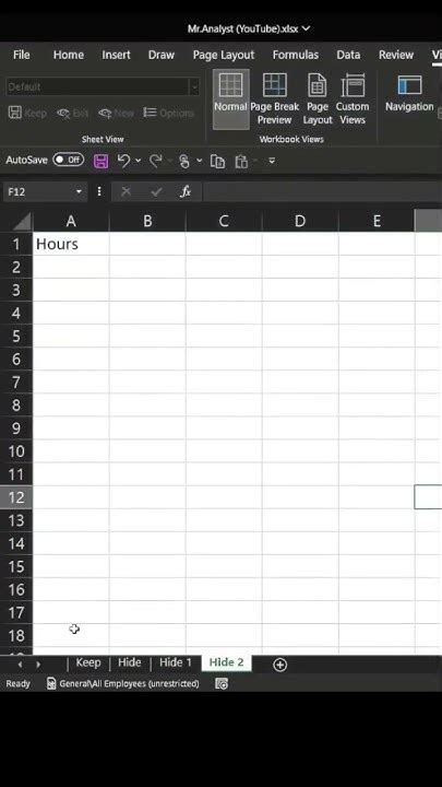 vey hide excel sheet shorts excelforbeginners exceltips youtube