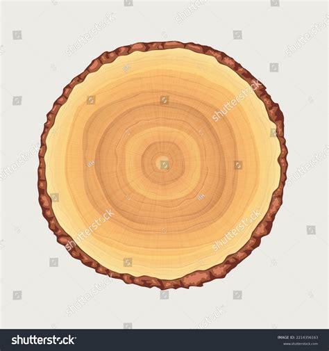 Tree Trunk Front View Isolated On Stock Vector Royalty Free 2214356163 Shutterstock