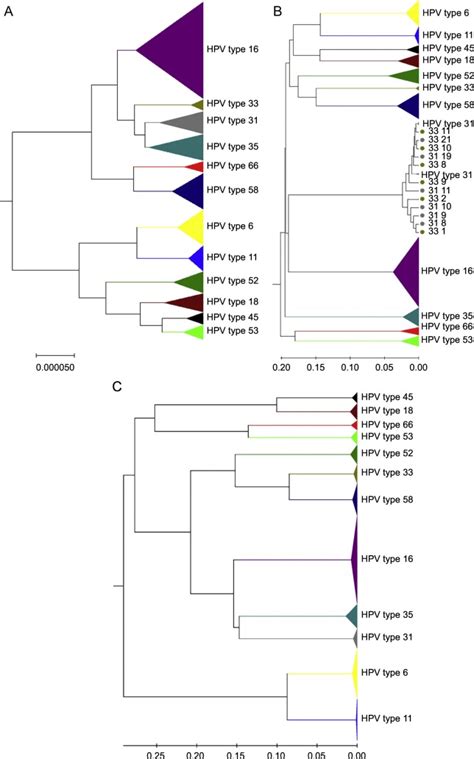 Large Scale Genome Comparison Based On Cumulative Fourier Power And
