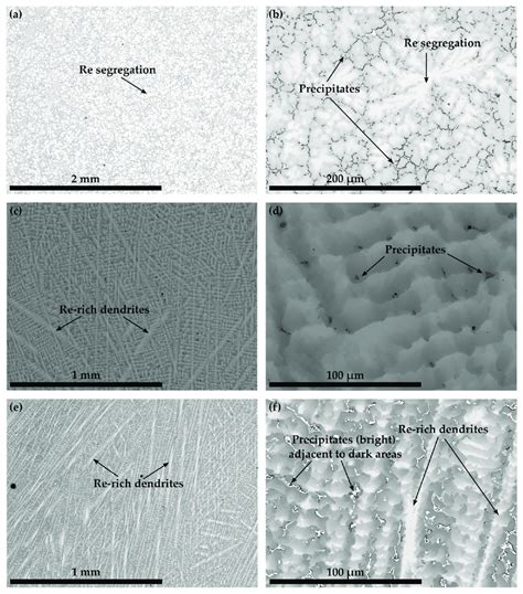 Bse Images Displaying The As Cast Microstructures Of Download