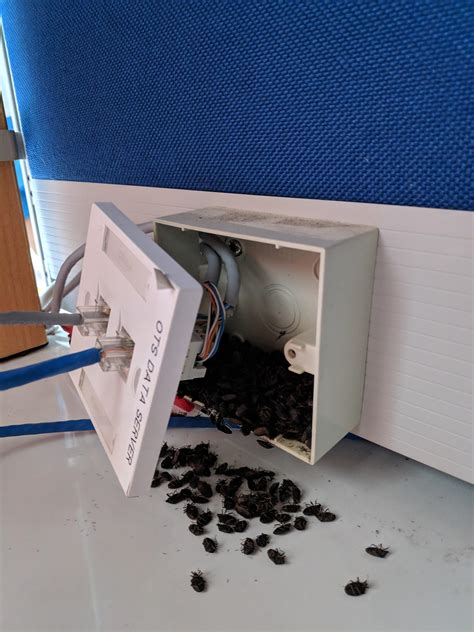 Wonder Why LAN Connection Was Unstable R Techsupportgore