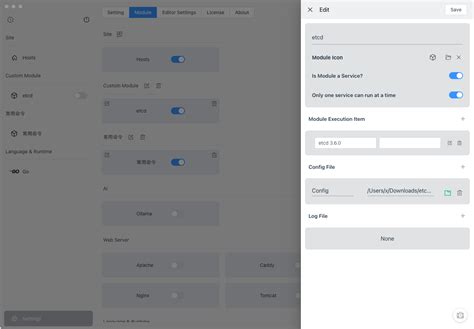 custom modules guide flyenv