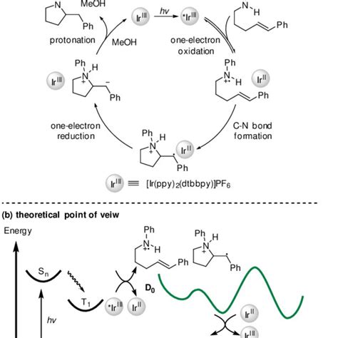 Catalytic Cycle Of Intramolecular Hydroamination Proposed By Knowles Et Download Scientific