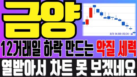 금양 2차전지 도약 앞둔 숨고르기 해도해도 너무하네요 금양 금양목표가 금양주가전망 리튬 2차전지 Msci 에스엠랩 양극재 자사주처분 윤교수 Youtube