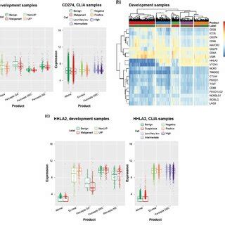 RNA And Gene Expression Across Samples Used In The Development Of Each Download Scientific
