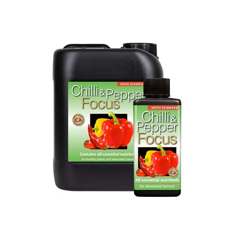 Growth Technology Chilli And Pepper Focus Planting