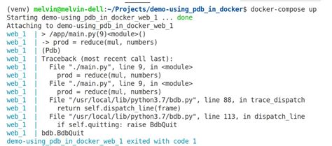 Debugging Using Pdb In Dockerized Environment
