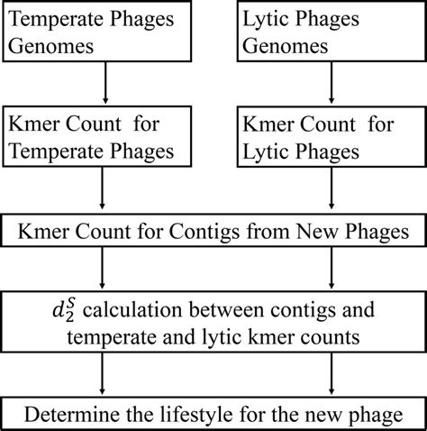 Classifying The Lifestyle Of Metagenomically Derived Phages Sequences Using Alignment Free