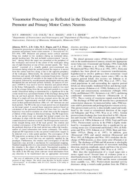 pdf visuomotor processing as reflected in the directional discharge