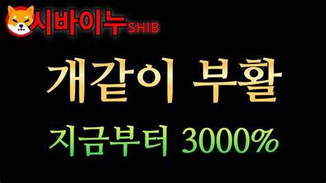 시바이누 코인 개같이 부활했습니다 지금부터 3000 상승 각 잡혔다 Youtube