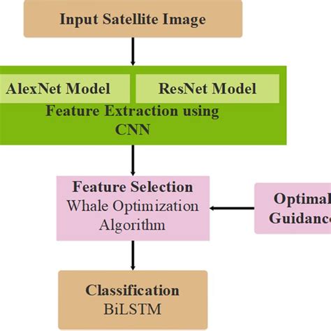 resnet50 model in feature extraction download scientific diagram