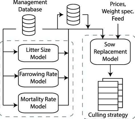Flow Diagram Of The Model Interaction The Management Database Is The Download Scientific