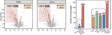 Pelsa测试 生物分离分析新材料与新技术研究组