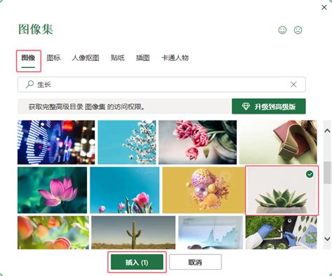 Excel2021怎么修改图片大小 软件自学网