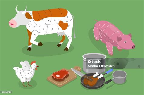 쇠고기 돼지 고기 및 닭고기 절단 계획의 3d 등각 평면 벡터 개념 그림 3차원 형태에 대한 스톡 벡터 아트 및 기타 이미지 3차원 형태 개념 거위 고기 Istock