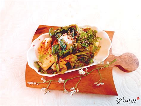 봄동김치 겉절이무침 황금레시피 도시락반찬요리