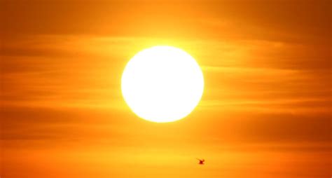 Here Comes The Sun Gem State Patriot News