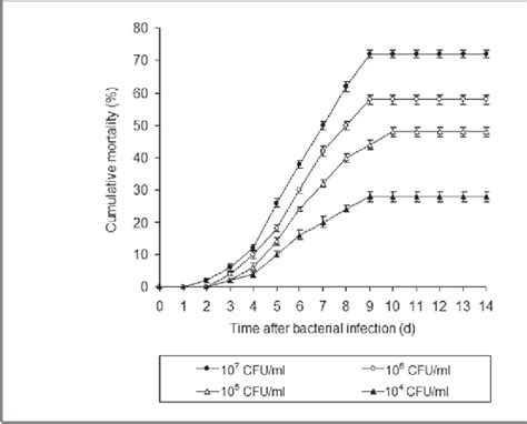 Figure 2 From Use Of Cassia Alata Aqueous Extract As A Bath Treatment To Control Pseudomonas