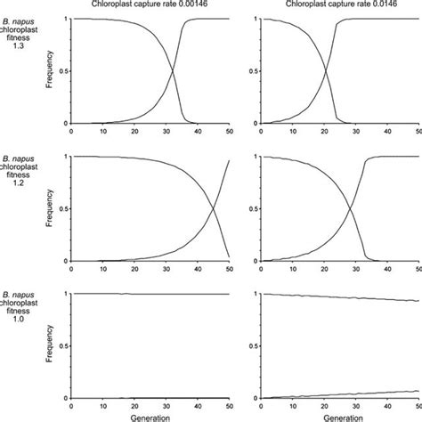 The Effect Of Varying Fitness In Brassica Rapa Plants Containing