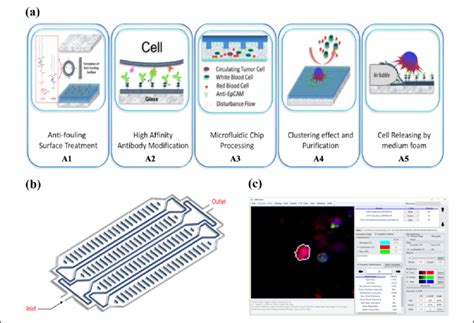 Cellmax Lifes Cmx Ctc Assay Platform The Cellmax Life Ctc Assay Is Download Scientific
