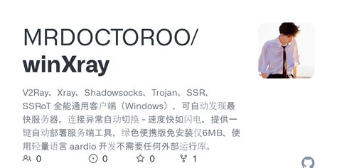 GitHub MRDOCTOROO winXray V RayXrayShadowsocksTrojanSSRSSRoT 全能通用客户端Windows可自动发现最快服务器