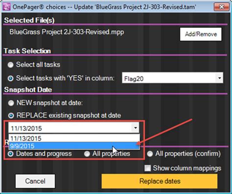 Replacing A Snapshot Via Push Update Onepager Pro Add In For Version 53 Onepager Documentation