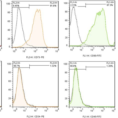Phenotypic Analysis Of Decidua Stromal Cells Dscs By Flow Cytometry Download Scientific