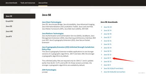 Jdk11下载、安装与配置、运行第一个java程序完整图文教程jdk11下载安装教程 Csdn博客