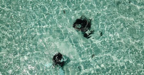 Pohnpei One Of 4 Breathtaking States Of Micronesia Ism