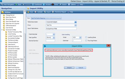 Deltek Vision Data Importing Error Report Fix Importing Errors